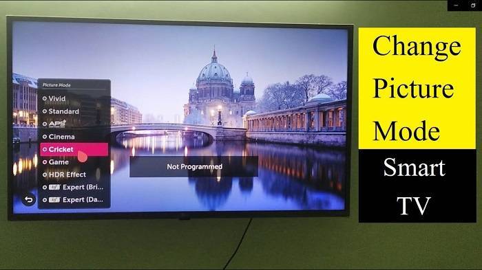 Maximizing Your Entertainment with LG TV Picture in Picture