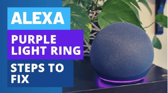 How Do I Stop the Spinning Blue Light on My Alexa?