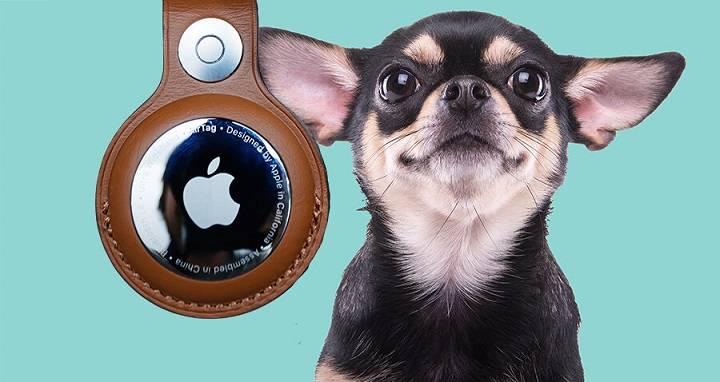5 Essential Features of Apple AirTag for Your Dog